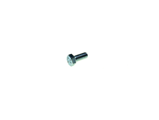 Hexagon screw M6x10 galvanized | Puchshop.de