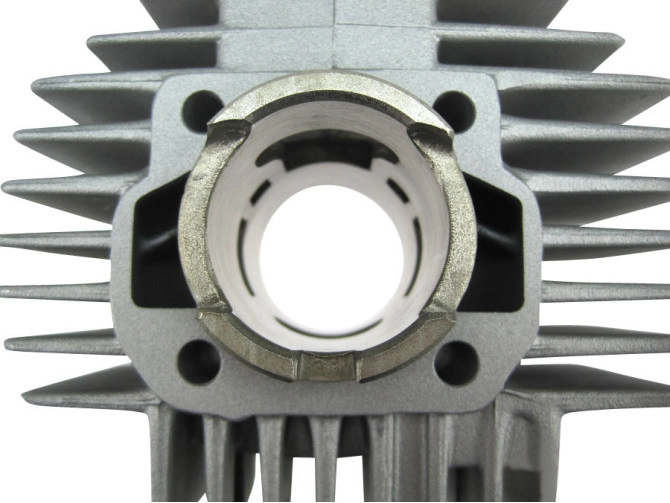 Athena 50ccm (38mm) Membran Zylinder kaufen für Puch Mofa?