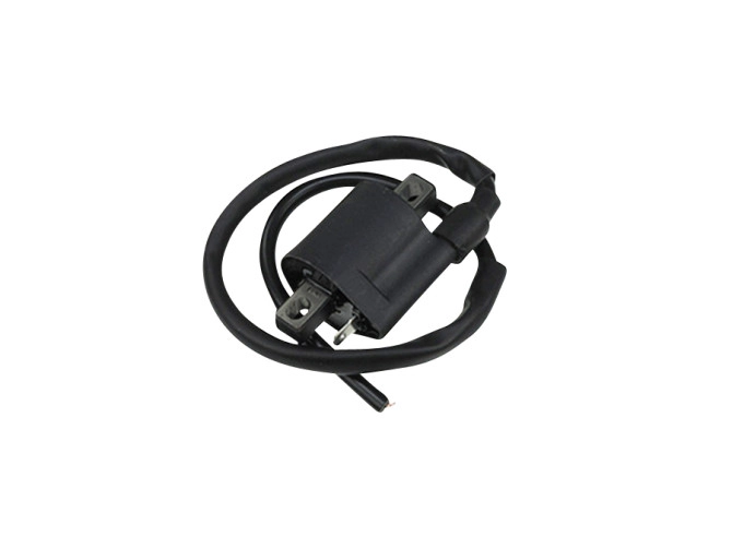 Looking for a HPI coil for Puch?